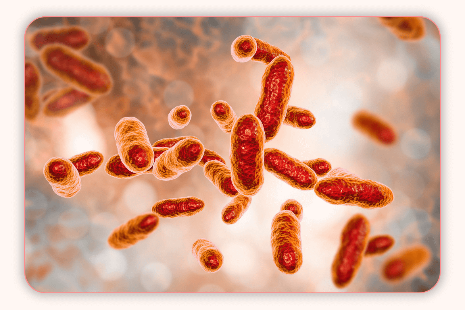 Qu'est-ce que la vaginose bactérienne ? Symptômes, causes et préventio ...